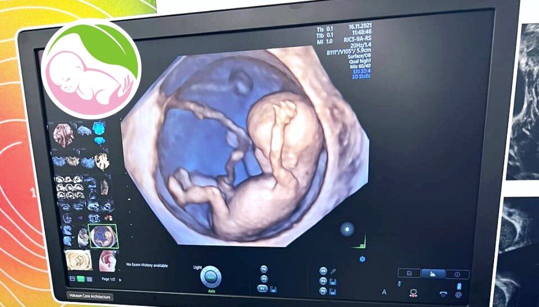 Posthumous parenthood: can a widow give birth to a child from her ...