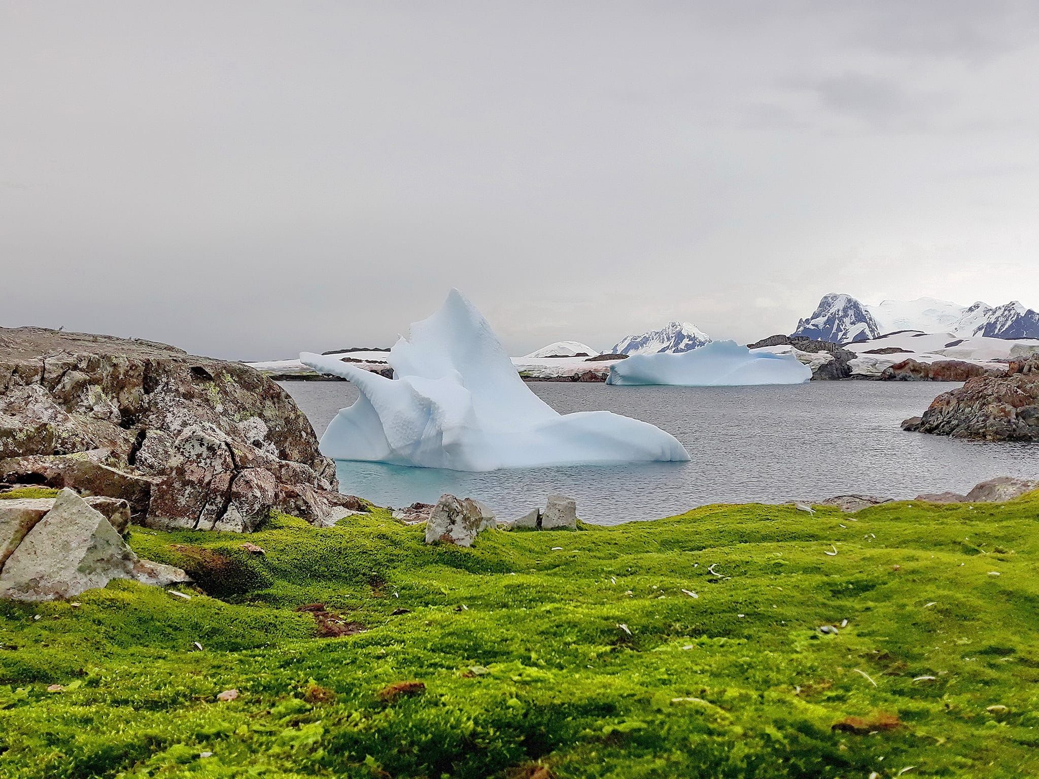 Actual news at the Gromada Group Media