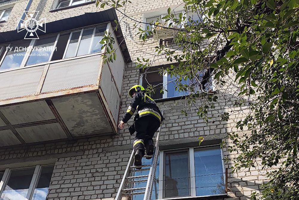 Actual news at the Gromada Group Media