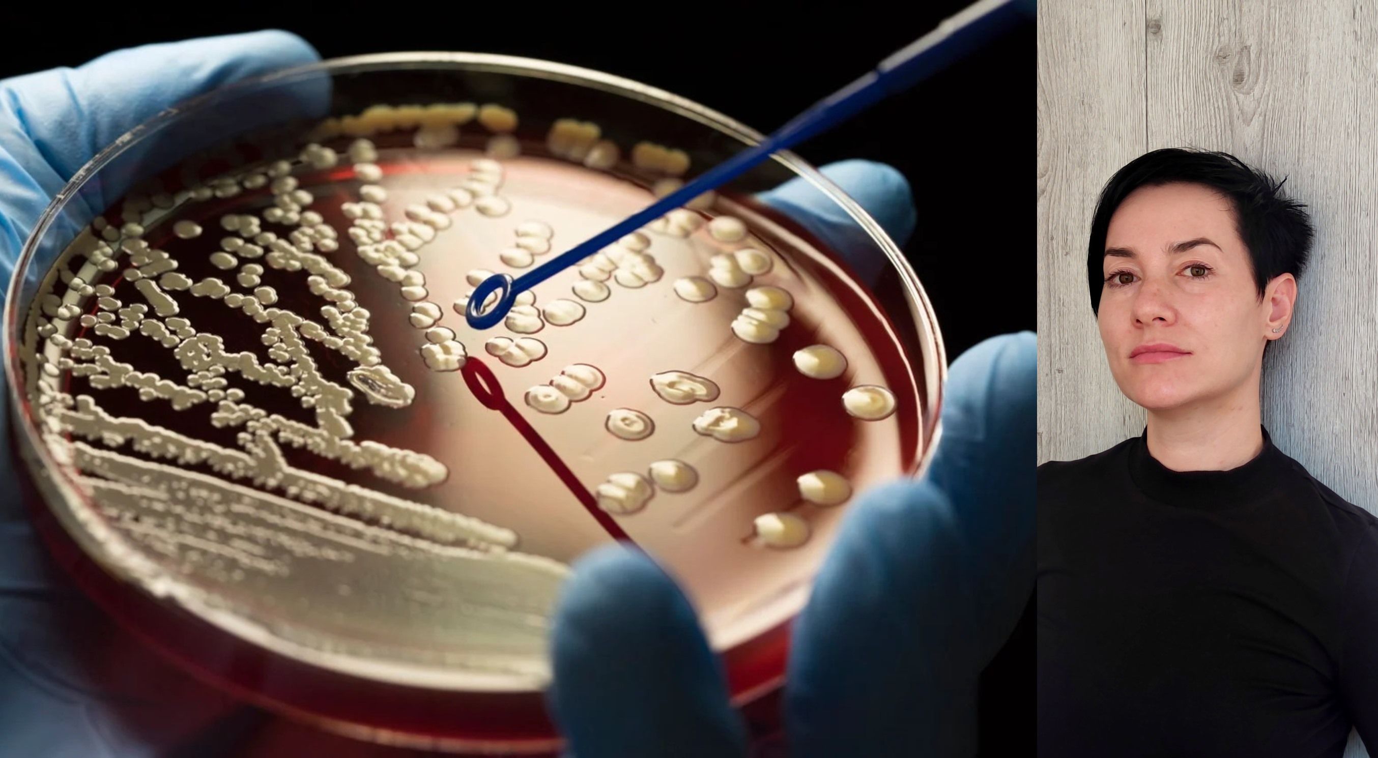 What happens if you change a bacterial gene? Ukrainian molecular ...